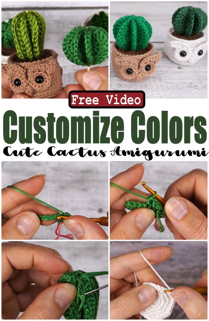 Crochet Cactus Amigurumi Pattern