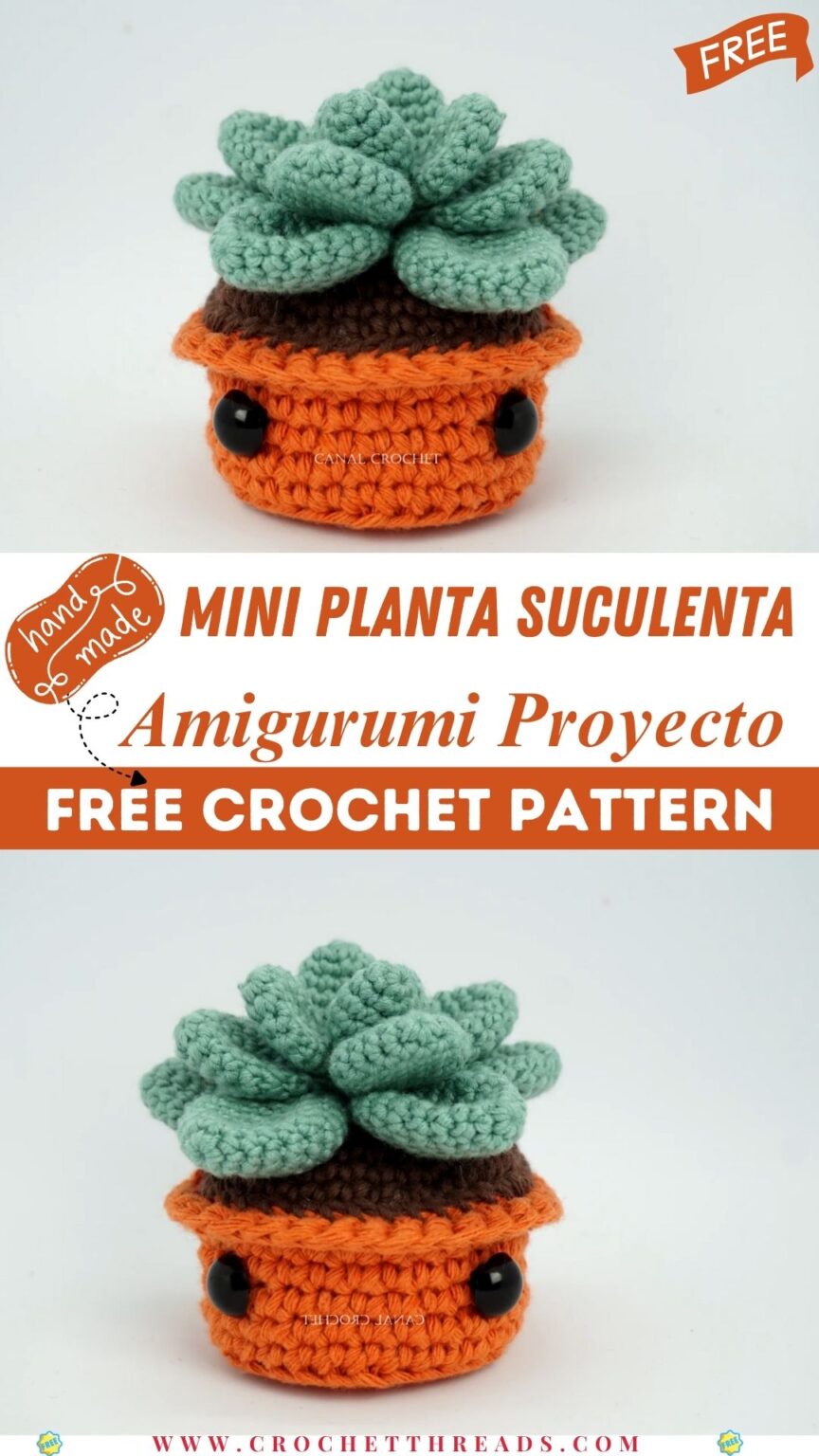 Crochet Succulent Plant With Face Pot